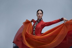 Robyn-Hendricks-in-The-Australian-Ballets-Anna-Karenina.-Photo-by ...
