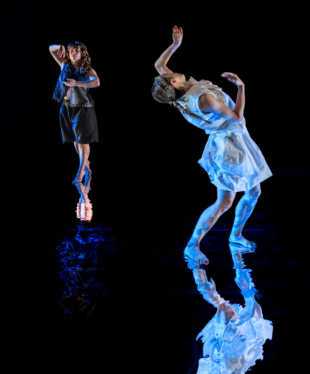 Footnote-New-Zealand-Dance-in-Thin-Paper-Autonomous-Synapses-Nomads ...